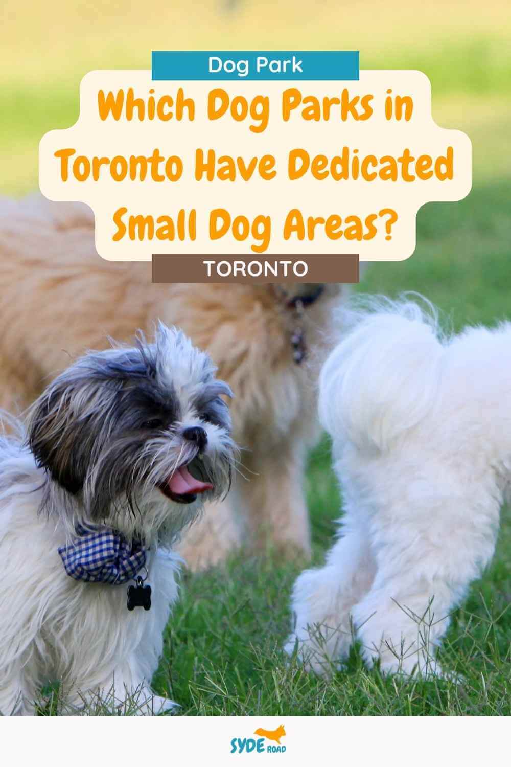 Which Dog Parks In Toronto Have Dedicated Small Dog Areas? - SYDE Road